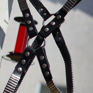 Accessories | Metal Plated Leather Chest Harness | Poshmark